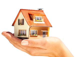 Green Palm Pest Control | Miami Dade & Palm Beach County | Florida