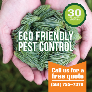 Eco Friendly Pest Control | Non Toxic and Effective Pest Control Services