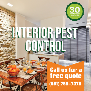 Interior Pest Control & Extermination Services | Palm Beach, Florida