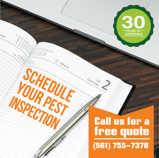 Professional Pest Inspection | Call Us for a Free Quote and Inspection